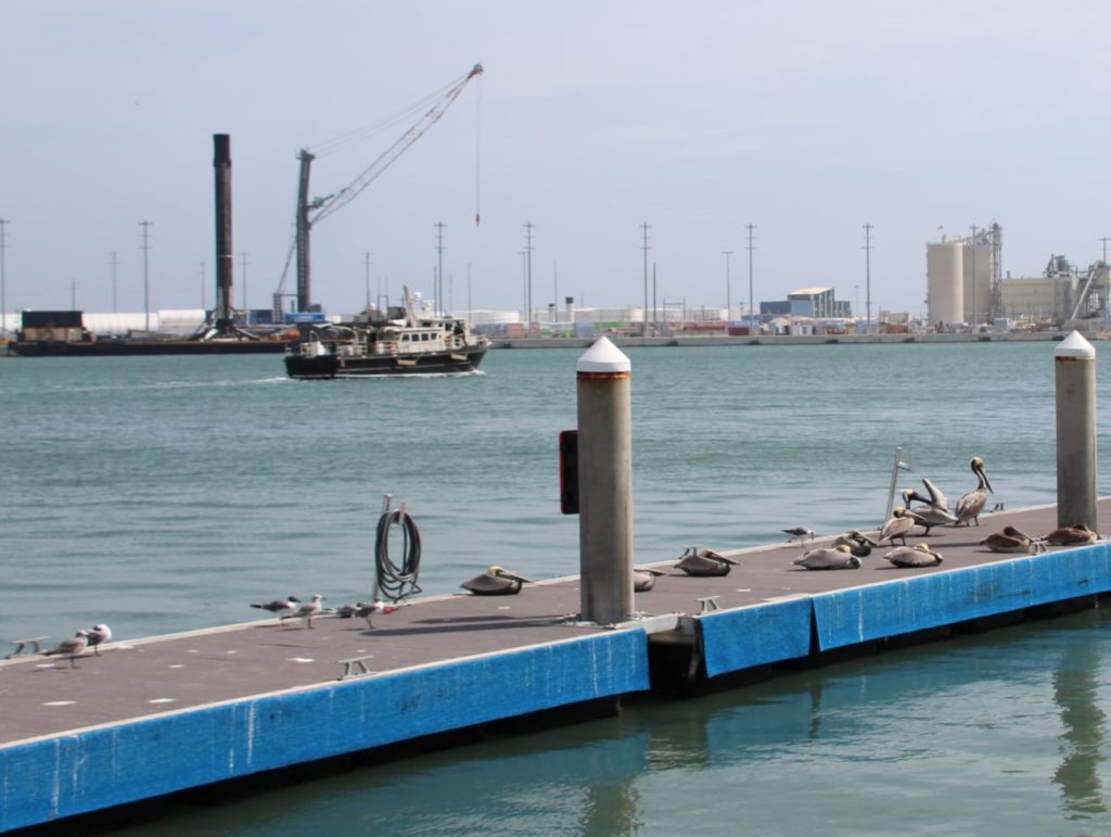 ‘super Sooty 1st 12x Flown Landed Spacex Falcon 9 Booster Returns To
