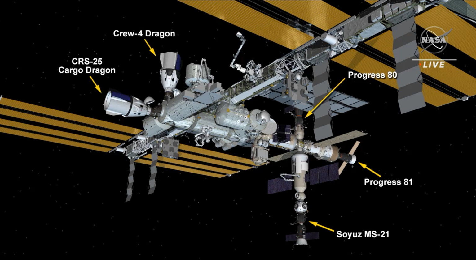 SpaceX Dragon Docks at Space Station Delivering 3 Tons NASA Science and ...