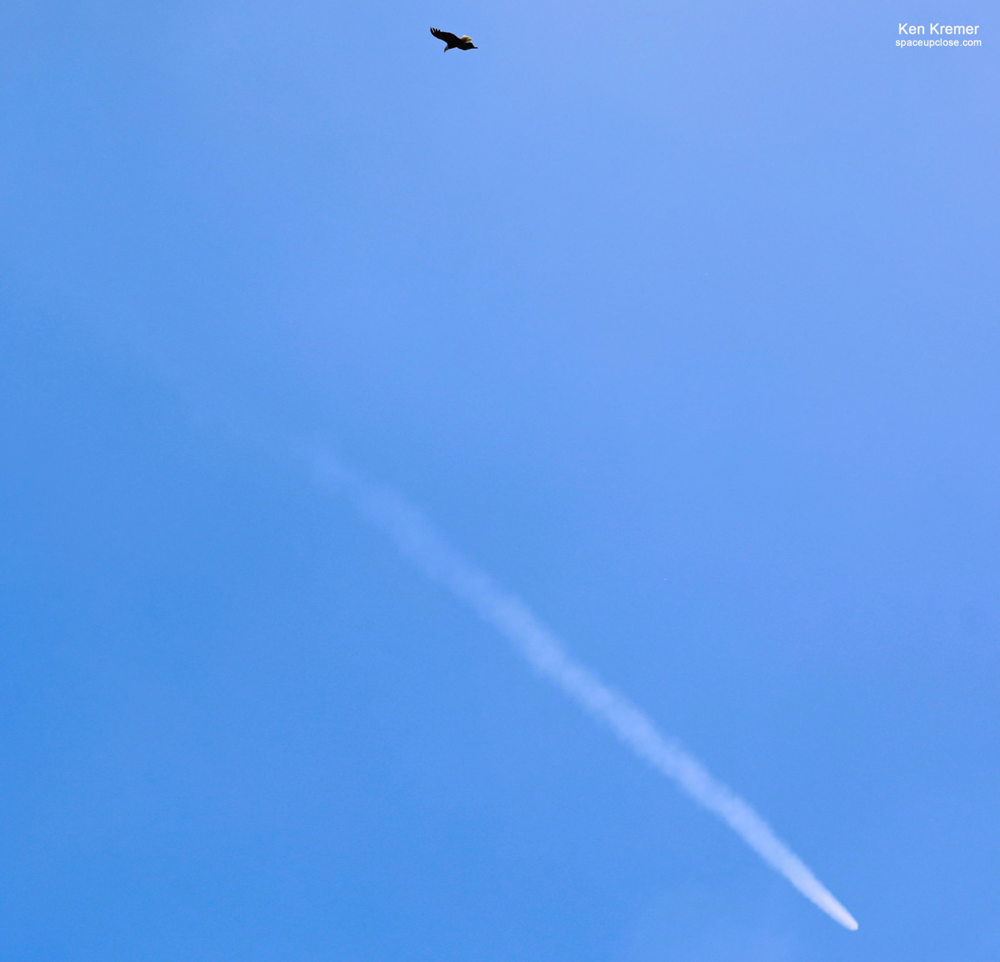 The Falcon and the Eagle: Beautiful SpaceX Starlink Launch Seen from ...